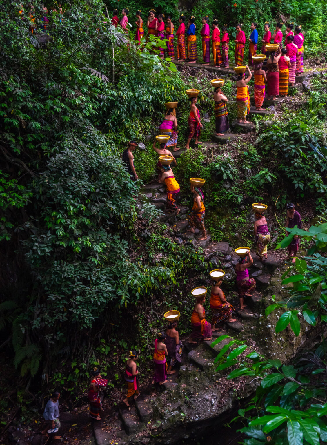 Announcing the winners of the 2024 CIFOR-ICRAF photo competition: Biodiversity, Climate ...